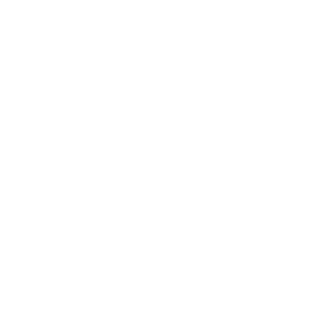 Case Studies - Smart Wires Inc.